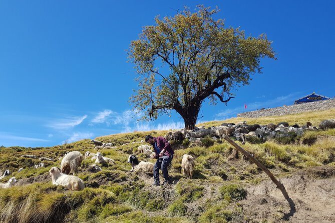 Mardi Himal Trekking - Day 4: Cross the Deurali Pass