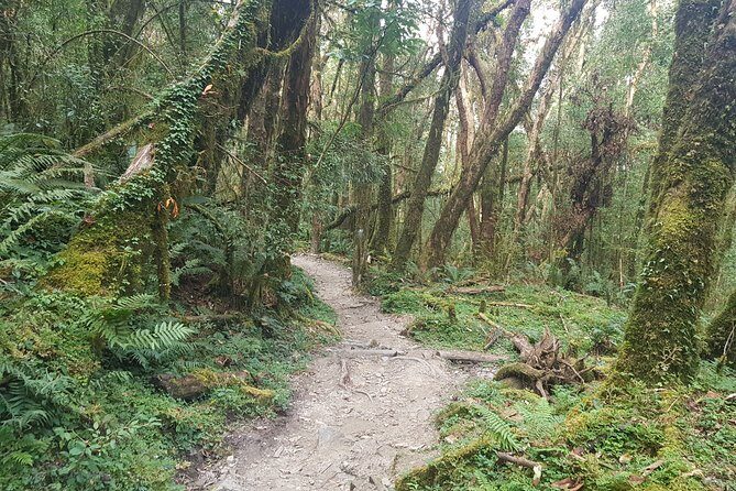 Mardi Himal Trekking - Day 6: Ascent to High Camp via Ridge
