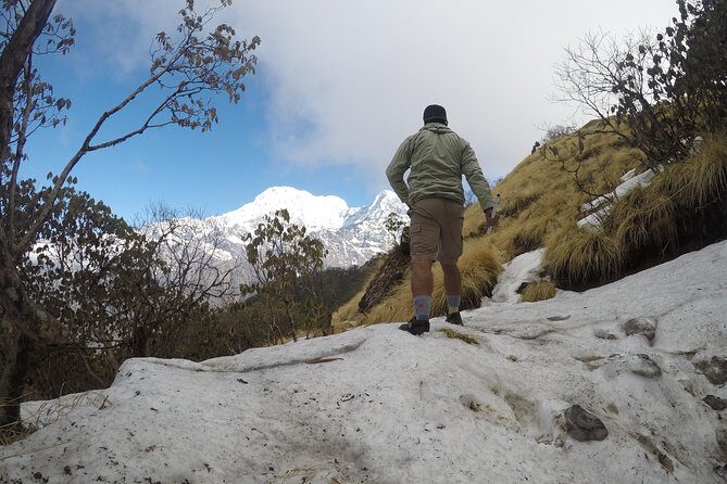 Mardi Himal Trekking - The Scenic Highlights