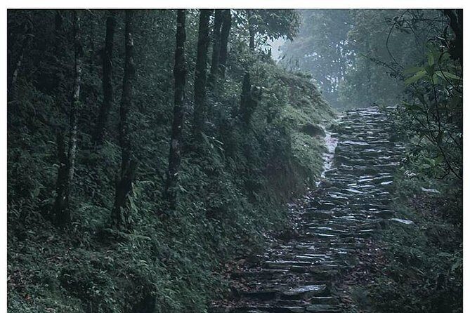 Mardi Himal Treks with Kathmandu Highlights - Descending and Returning: The Scenic Farewell