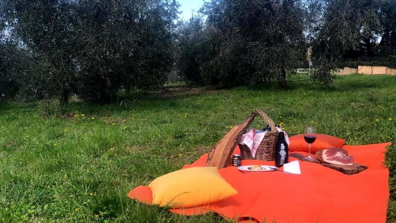 Maremma: oil and wine tasting with dinner - Key Points