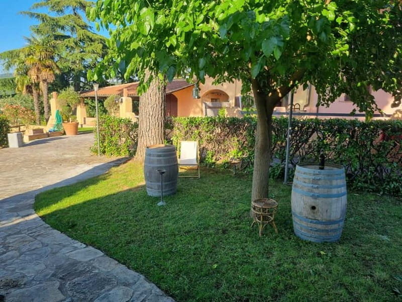 Maremma: oil and wine tasting with dinner - Exploring the Details of the Oil and Wine Tour