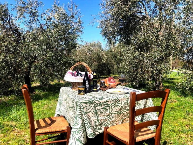 Maremma: Oil tasting with picnic among the olive trees - A Detailed Look at the Experience