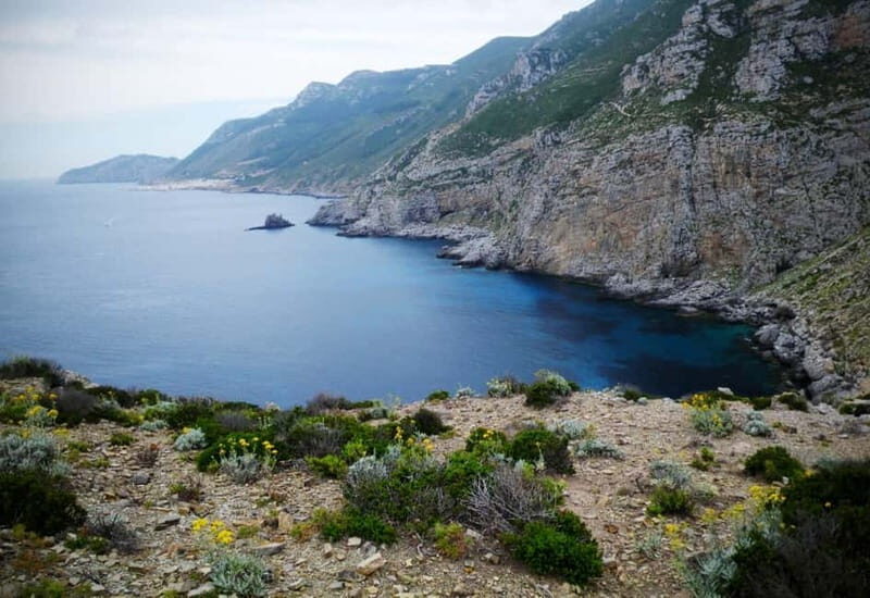Marettimo: cruise from Trapani w/lunch and visit the caves - Key Points