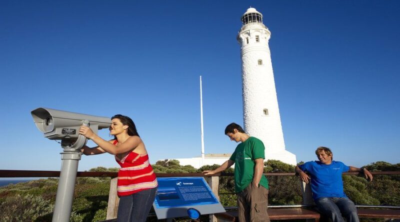 Margaret River and Busselton Jetty: Day Trip from Perth - Summing Up: Who Will Love This Tour?