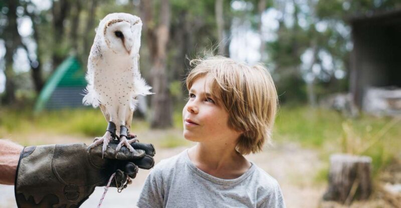 Margaret River: Birds of Prey Encounter and Forest Walk - A Deep Dive into the Experience