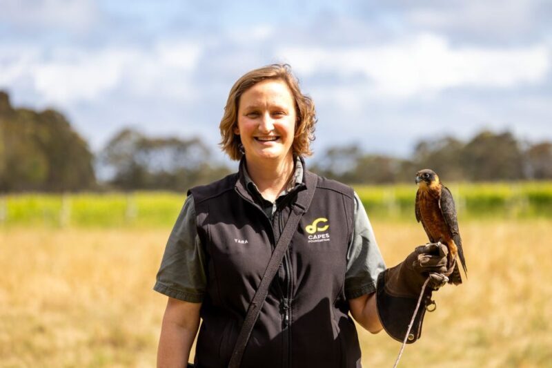 Margaret River: Birds of Prey Encounter and Forest Walk - Who Should Consider This Tour?