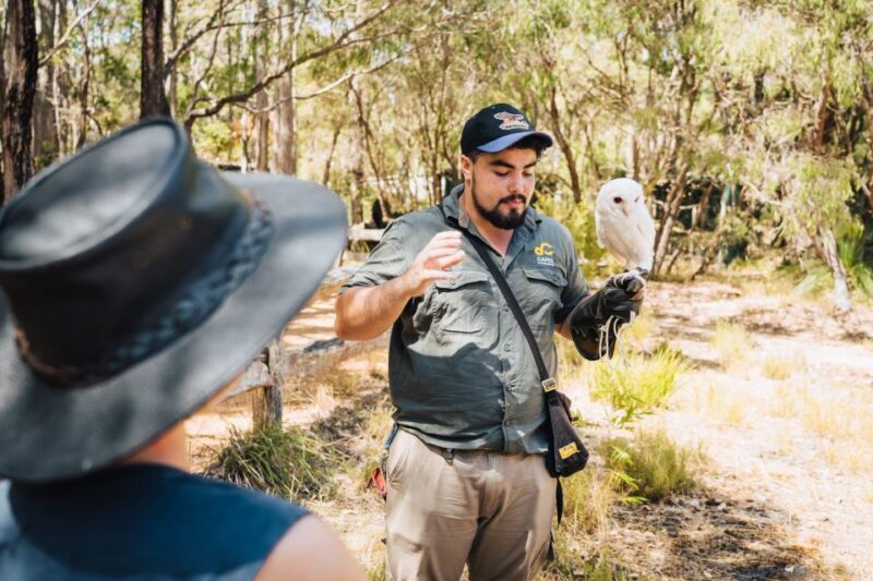 Margaret River: Birds of Prey Encounter and Forest Walk - Final Thoughts