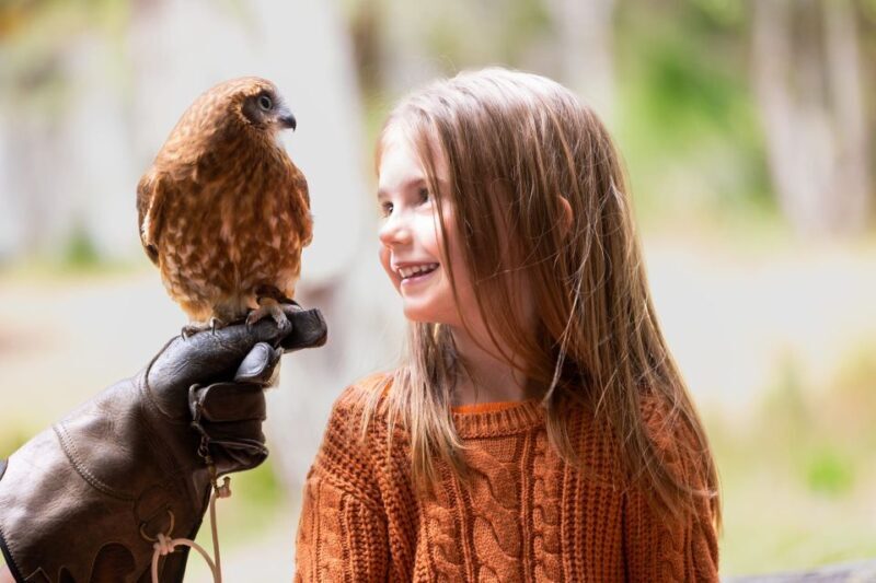 Margaret River: Birds of Prey Encounter and Forest Walk - FAQ