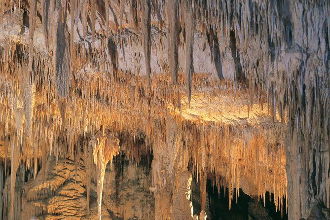 Margaret River, Caves, Wine and Cape Leeuwin Lighthouse Tour from Perth - The Itinerary in Detail: What to Expect