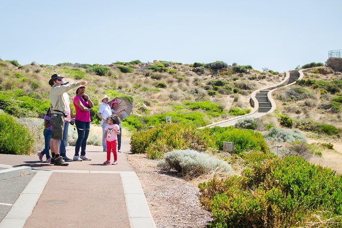 Margaret River Coastal and Wildlife Eco Trip from Busselton or Dunsborough - Pricing and Value