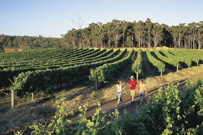 Margaret River Coastal Tour - An Introduction to the Margaret River Coastal Tour