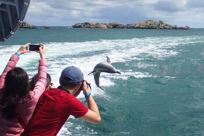 Margaret River Day Tour With Wildlife Cruise & Wine Tasting - Final Thoughts: Who Will Love This Tour?