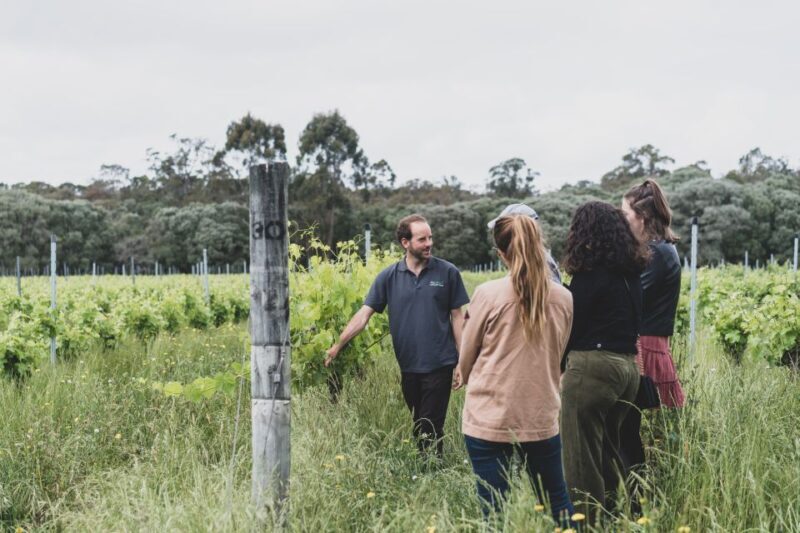 Margaret River Full-Day Wine, Local Produce & Nature Tour - Local Artisans & Gourmet Experiences