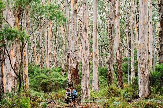 Margaret River Getaway 2 Day Tour - Key Points