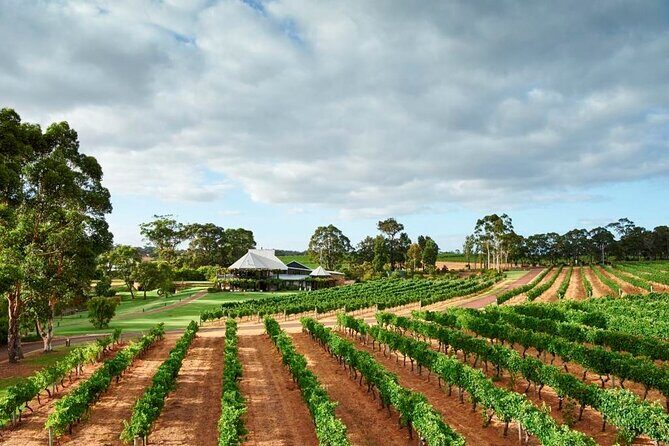 Margaret River Icons Tour Hosted by Regional Expert - Who Will Love This Tour?