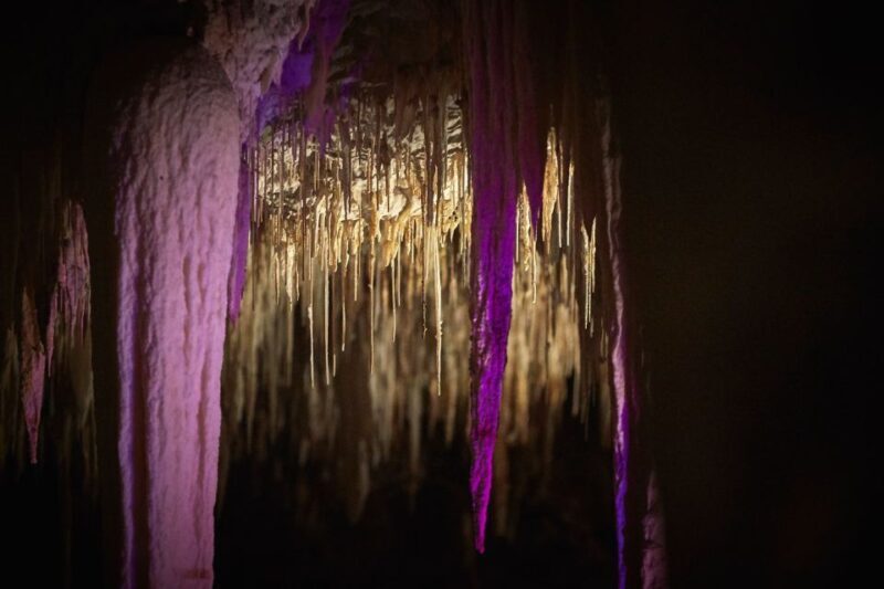 Margaret River: Lake Cave Fully-Guided Tour - The Itinerary: What to Expect on the Tour