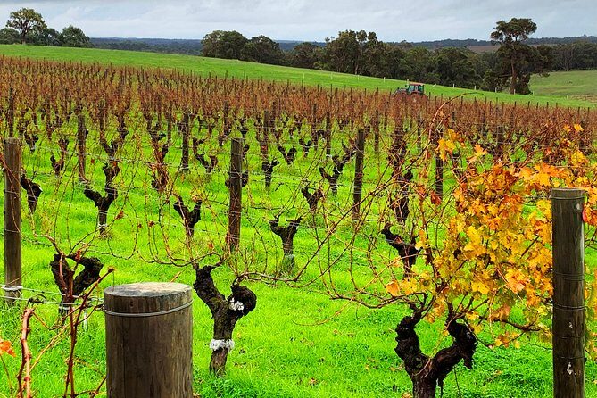 Margaret River Private Day Tours - Who This Tour Is Best For