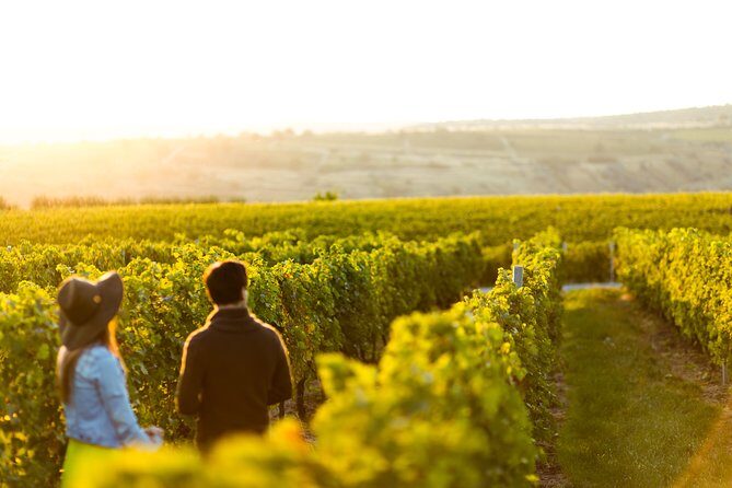 Margaret River Private Tour - Introduction