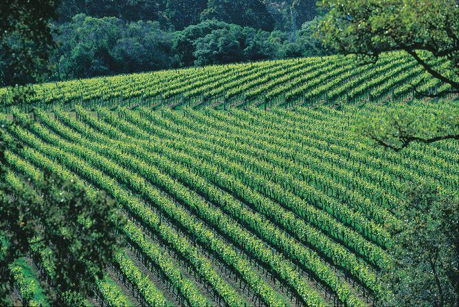 Margaret River Private Tour - In-Depth Look at the Tour Experience