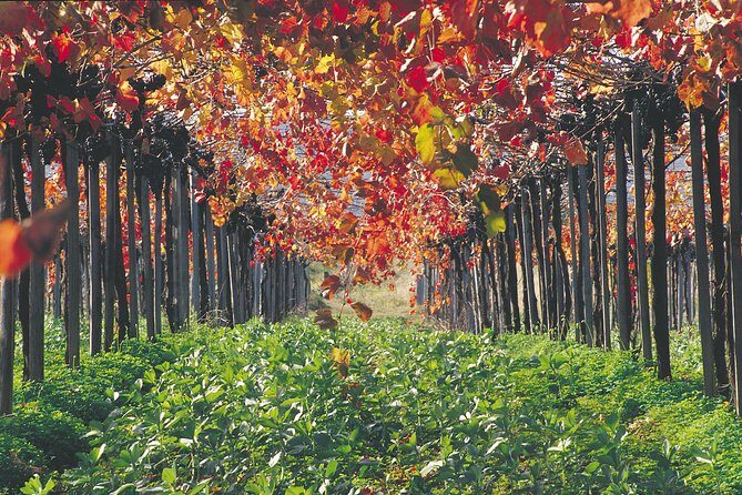 Margaret River Private Tour - Practical Details and Valuation