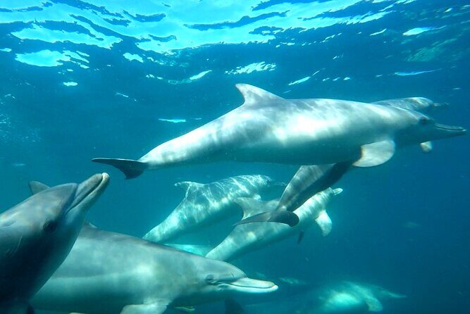 Margaret River Private Tour - FAQs