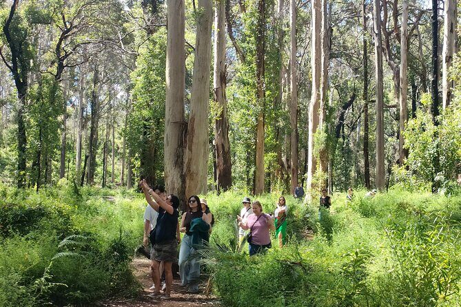 Margaret River Region Impression Day Tour from Perth - Who Will Find This Tour Perfect?