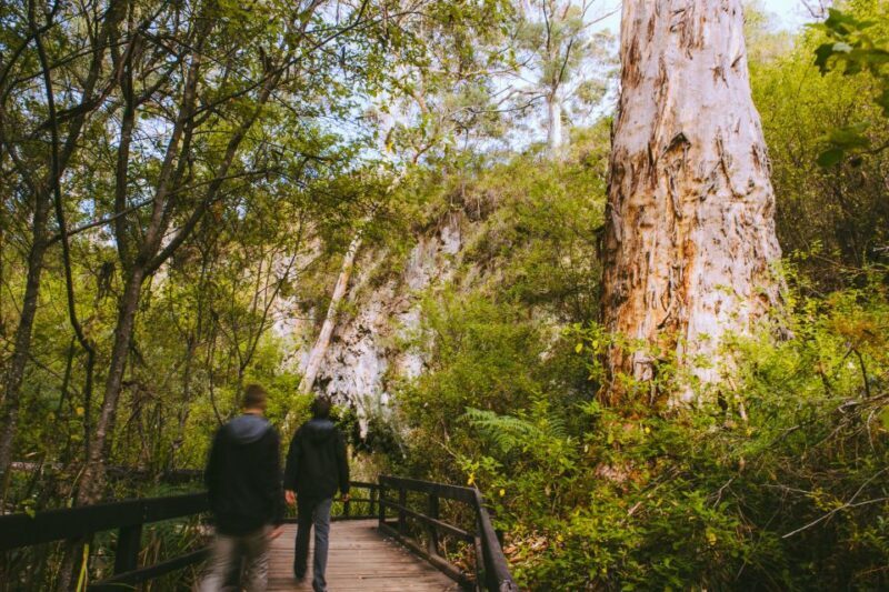 Margaret River: Self-Guided Audio Tour of Mammoth Cave - Introduction: A Natural Treasure in Western Australia