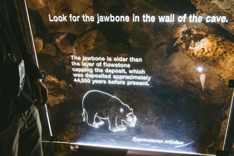 Margaret River: Self-Guided Audio Tour of Mammoth Cave - The Final Verdict: Who Will Love This Tour?