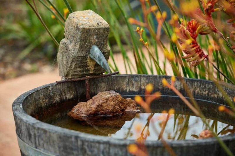 Margaret River: Whicher Ridge Immersive Wine Experience - What Is the Whicher Ridge Immersive Wine Experience?