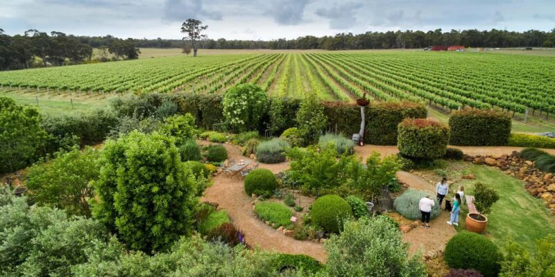 Margaret River: Whicher Ridge Immersive Wine Experience - Tasting Four Small-Batch Wines