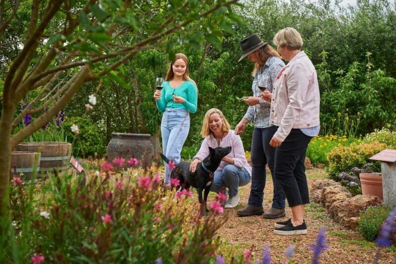 Margaret River: Whicher Ridge Immersive Wine Experience - Practical Details and Value