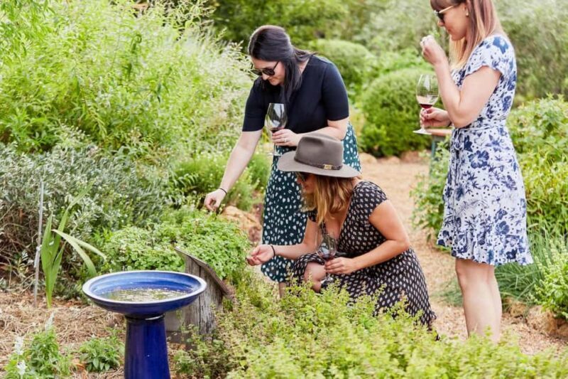 Margaret River: Whicher Ridge Immersive Wine Experience - A Well-Designed Itinerary