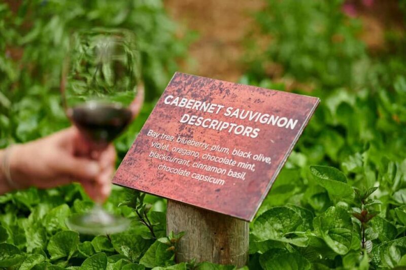 Margaret River: Whicher Ridge Immersive Wine Experience - Authentic and Personal