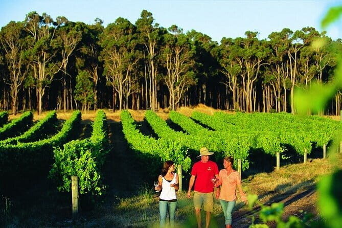 Margaret River Wine and Beer Discovery Tour - Who Should Consider This Tour?
