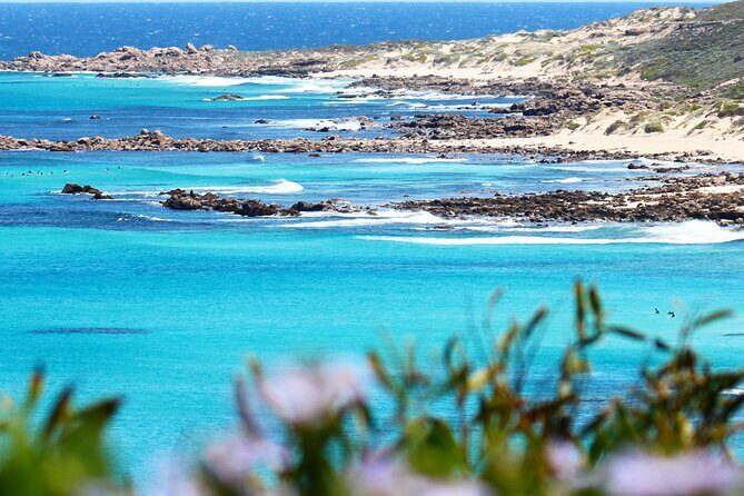Margaret River Wine and Sights Discovery Tour from Busselton or Dunsborough - In-Depth Look at the Itinerary
