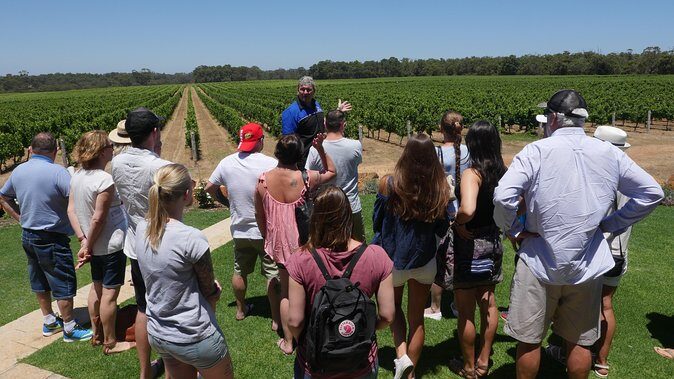 Margaret River Wine Tour: The Full Bottle - A Day in the Life: What to Expect from the Margaret River Full Bottle Tour