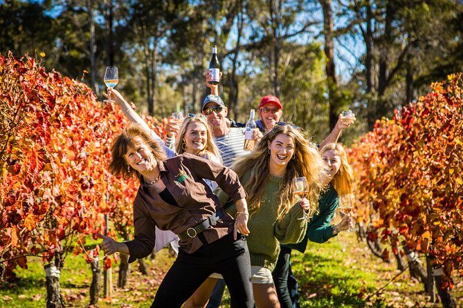 Margaret River Winery, Brewery Tour with Gourmet Brewery Lunch - Key Points