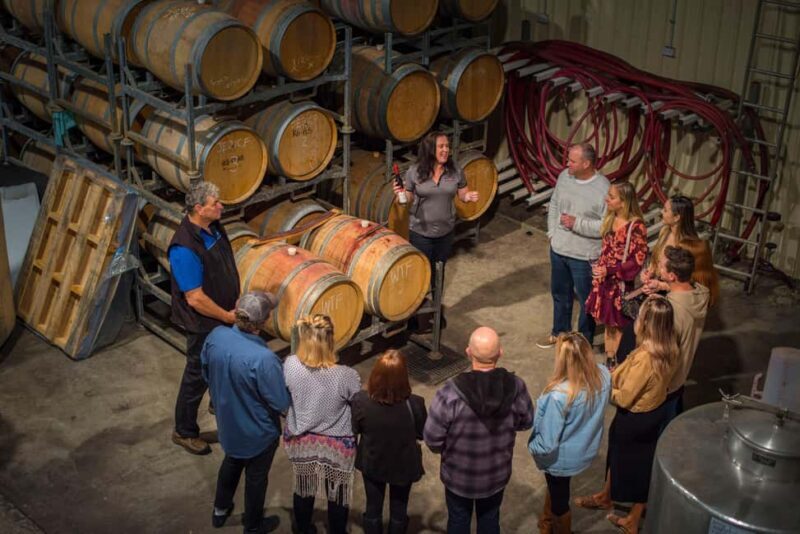 Margaret River: Winery Tour with Lunch and Brewery Visit - Who Will Enjoy This Tour?