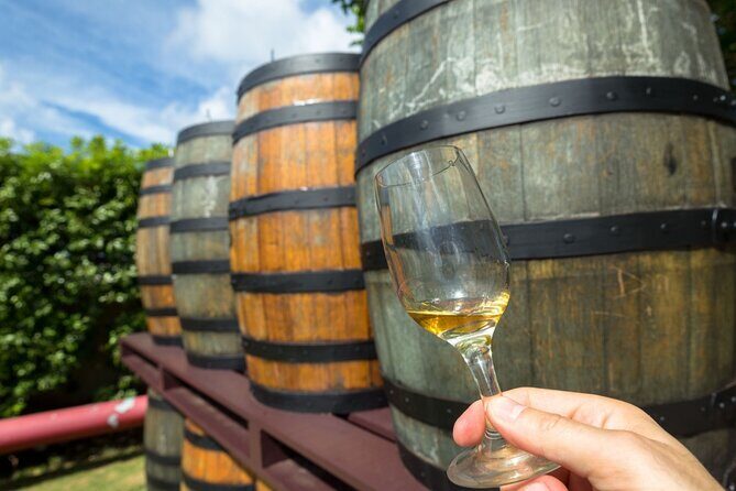 Margaret Rivers Wine & Chocolate Odyssey: Private Tour - Starting Point: Margaret River