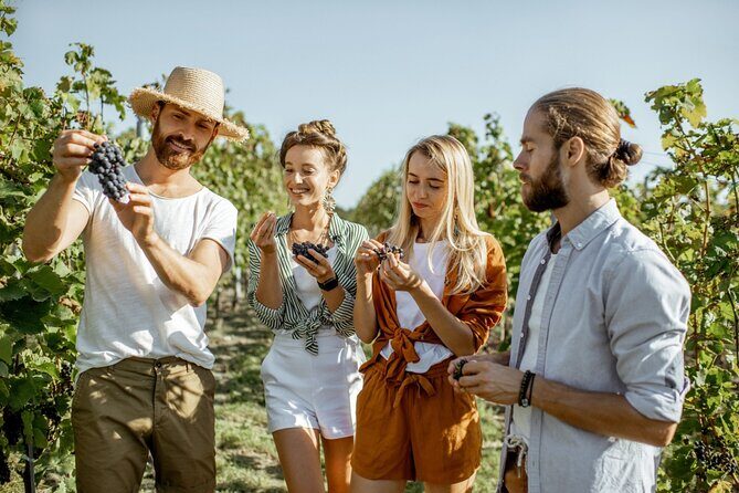 Margaret Rivers Wine & Chocolate Odyssey: Private Tour - Woody Nook Wines: Award-Winning Varieties
