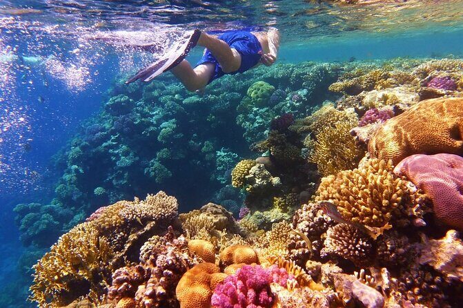 Margaritaville/Jeski Tour or Snorkeling in Montego Bay - FAQs