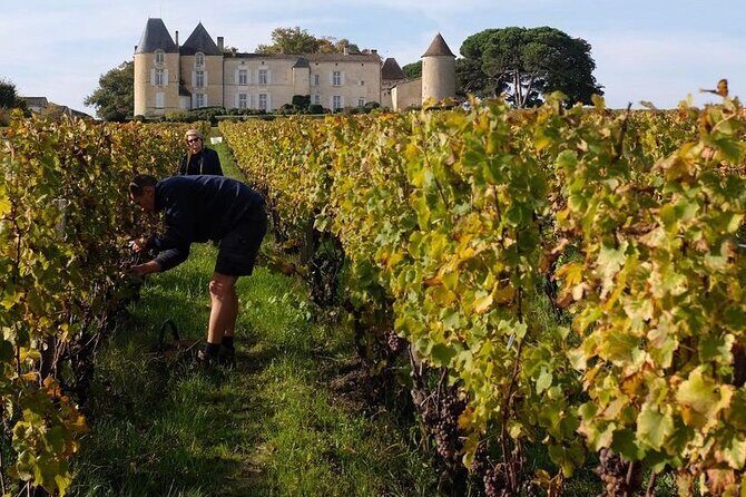 Margaux Wine Tour experience - The Sum Up
