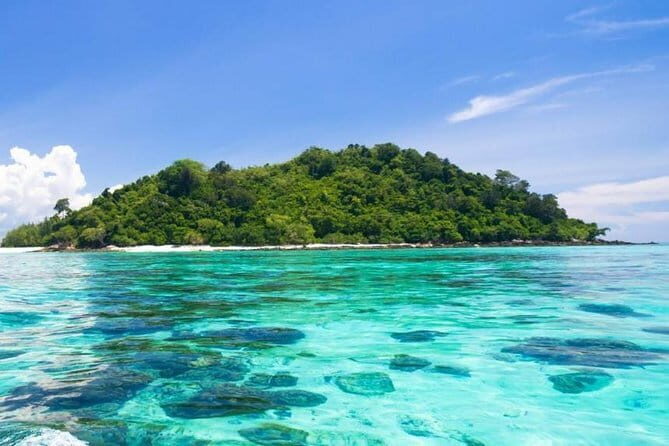 Mari Mari Sepanggar Island Snorkelling - Who Will Enjoy This Tour?