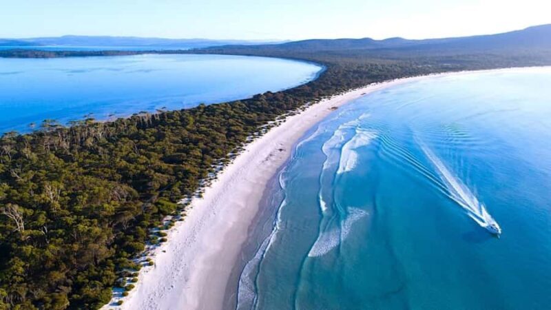 Maria Island 3 hours and 30 mins Scenic Cruise - Key Points