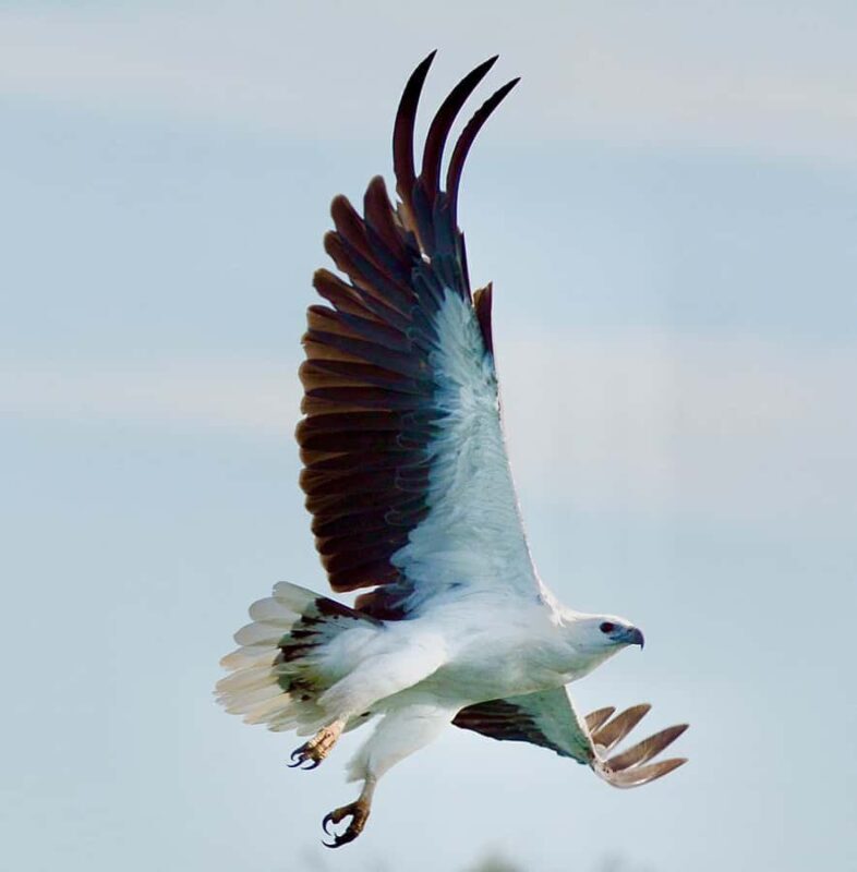 Maria Island 3 hours and 30 mins Scenic Cruise - Final Thoughts