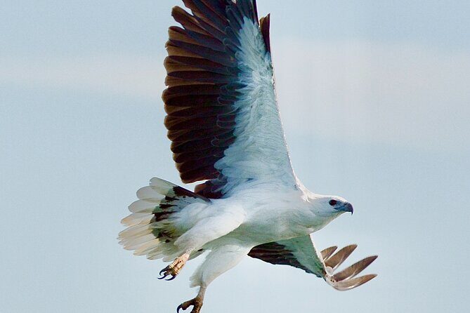 Maria Island 3 hours and 30 mins Scenic Cruise - Who Would Appreciate This Tour?