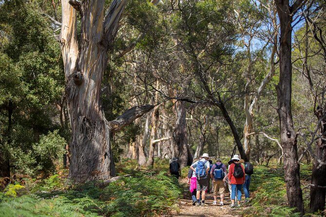 Maria Island Active Day Tour from Hobart - The Sum Up