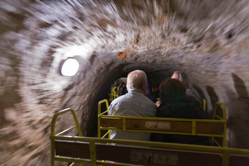 Maribor: Postojna Cave and Predjama Castle Day Private Tour - An In-Depth Look at the Tour
