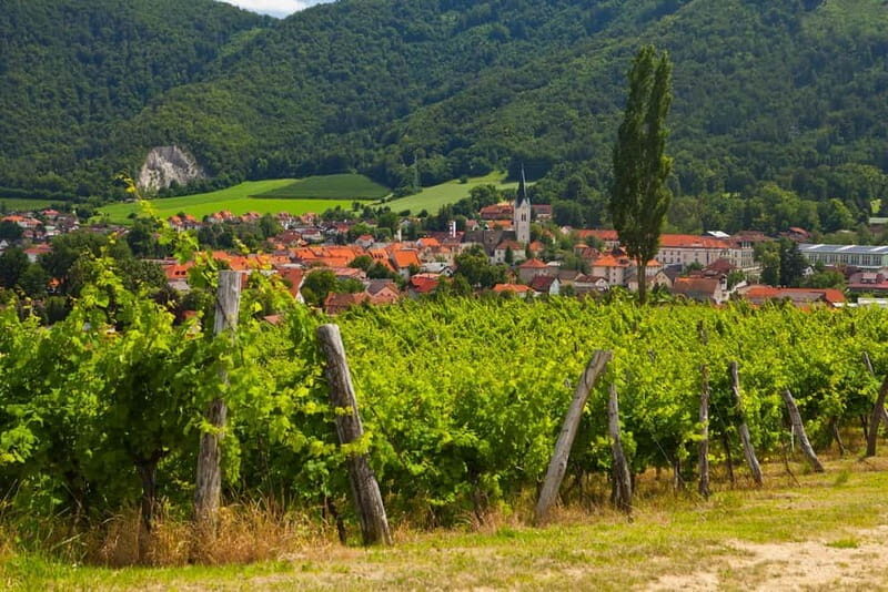 Maribor & Styria Tour with Wine Tasting - The Historic Ie Charterhouse: A Window to Monastic Life